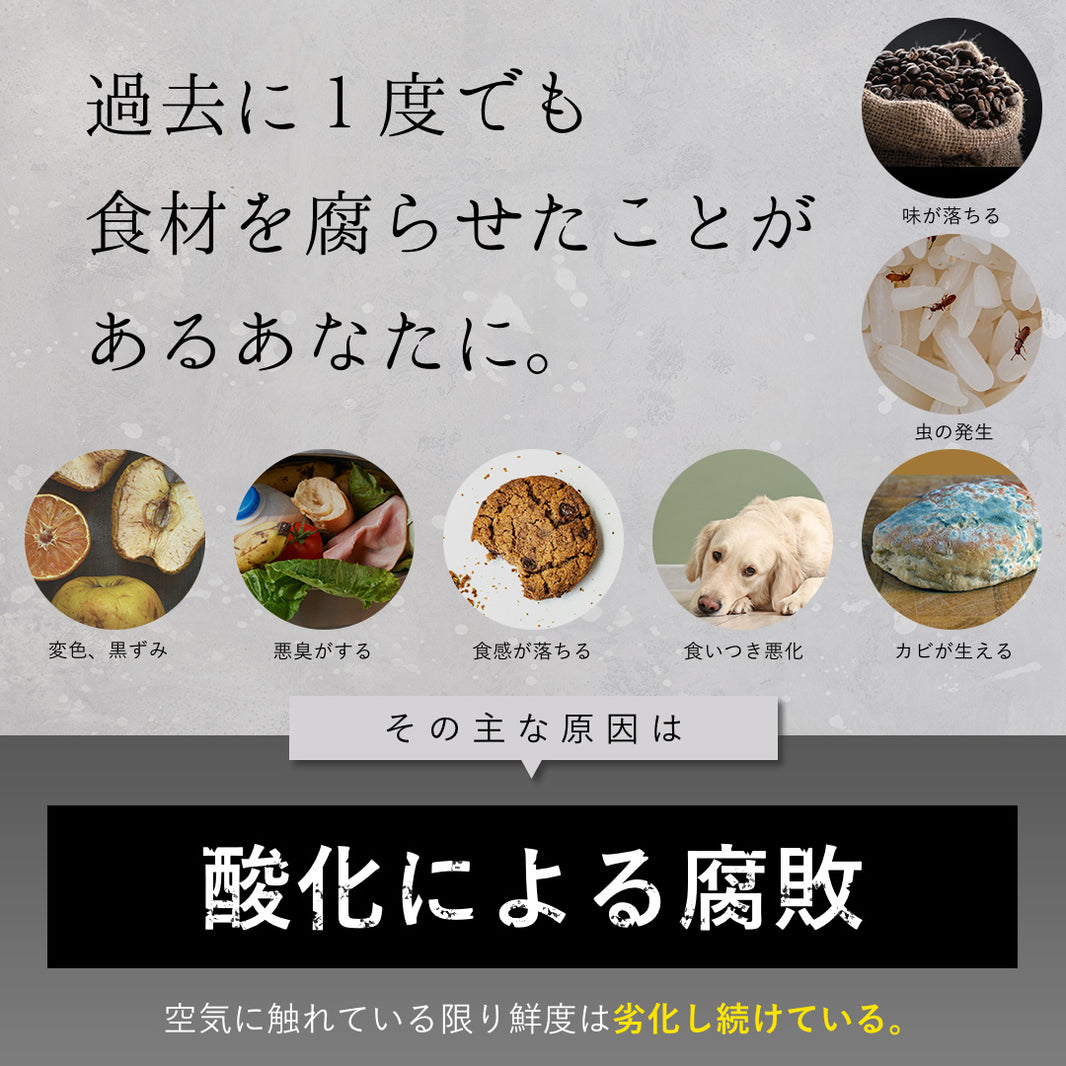 【2024年12月下旬頃発送予定】真空保存容器 OoBLE